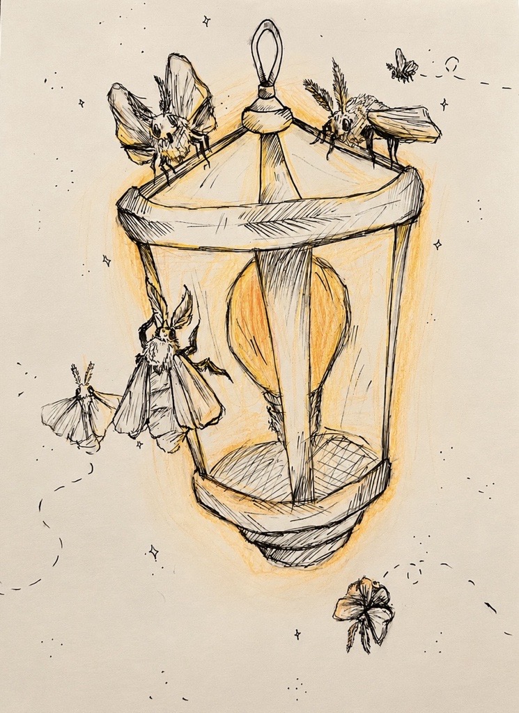 2026 Pollinator Week - Art Contest - Now Closed! - Eastside Exterminators